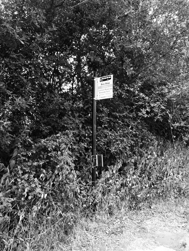 Bus Stop – Liminal Narratives